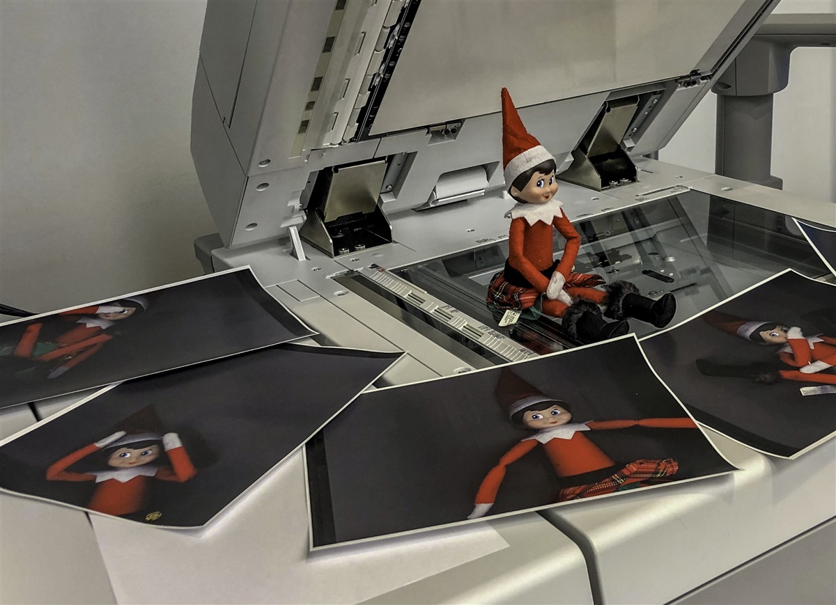 Elf on the Shelf: Office Chaos Edition